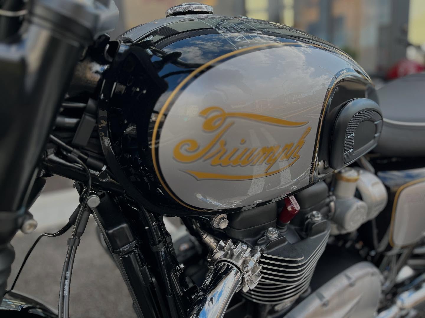 新型 ICON EDITION T120 展示中です！ | ブログ | トライアンフ仙台